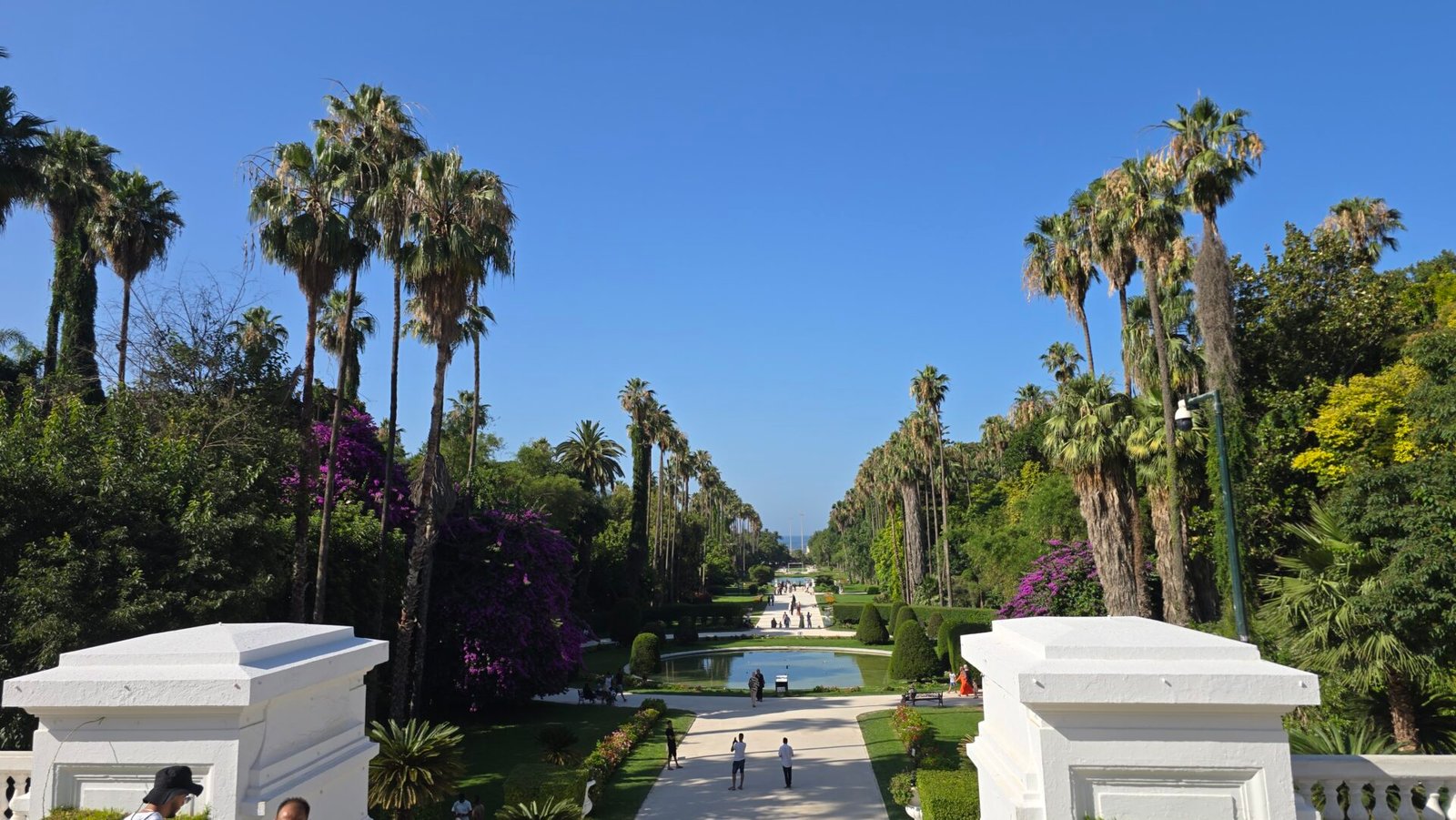 Discover Algeria: Your Ultimate 2026 Travel Guide